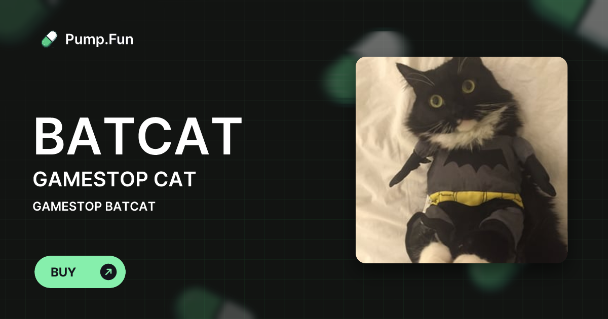 GAMESTOP CAT (BATCAT) - Pump