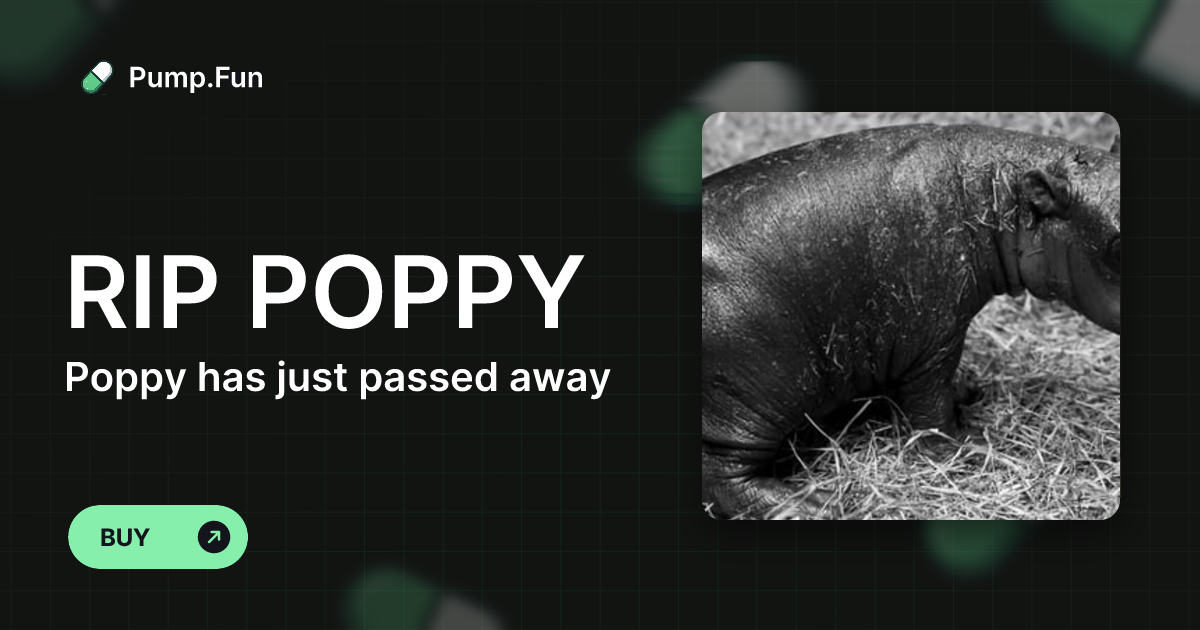 Poppy has just passed away (RIP POPPY) - Pump