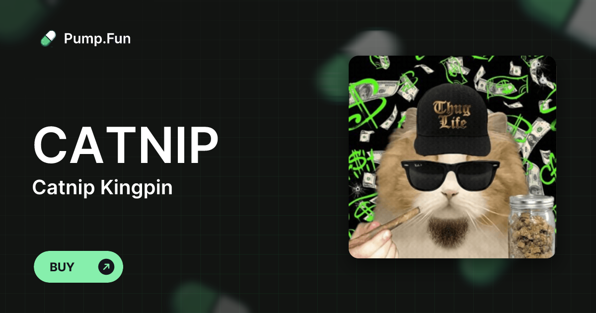 Catnip Kingpin (CATNIP) - Pump