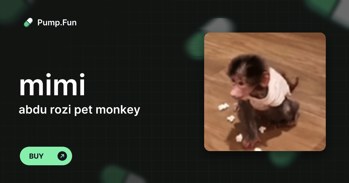 abdu rozi pet monkey (mimi) - Pump
