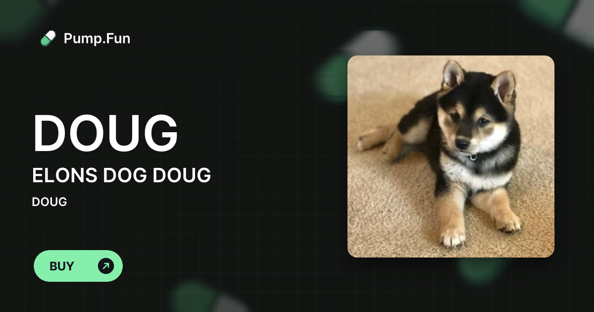 ELONS DOG DOUG (DOUG) - Pump