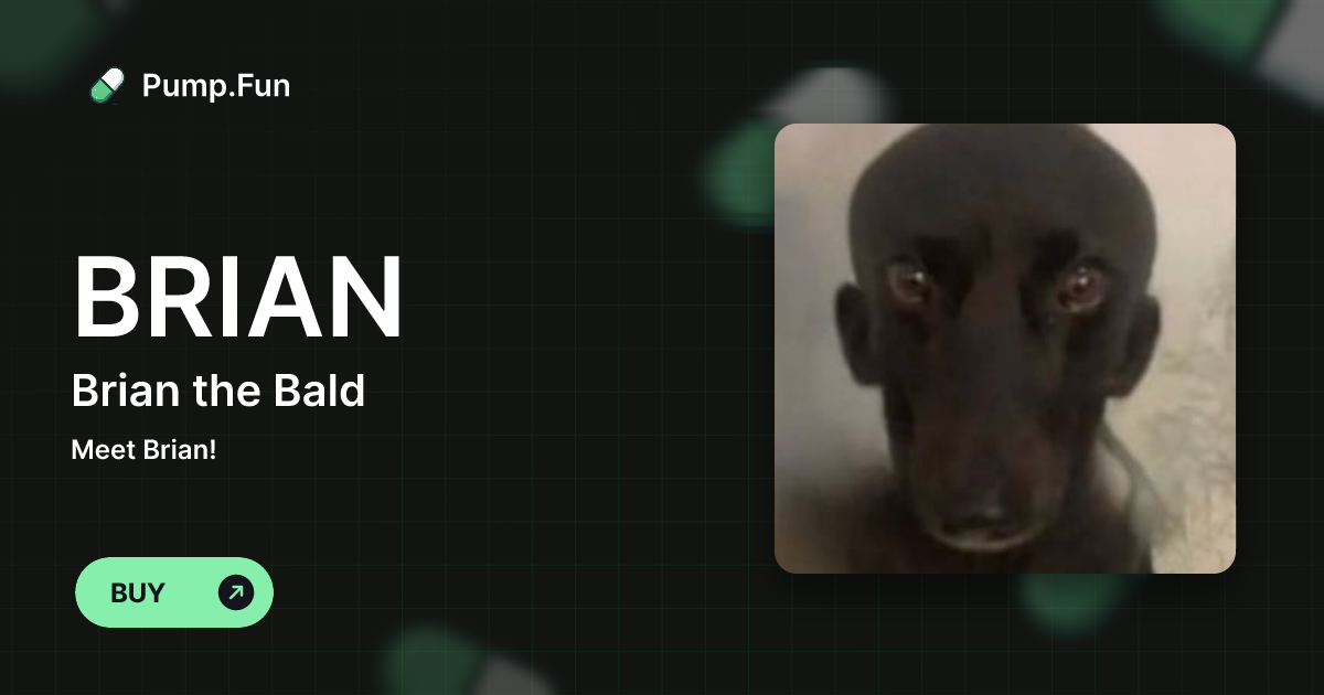Brian the Bald (BRIAN) - Pump