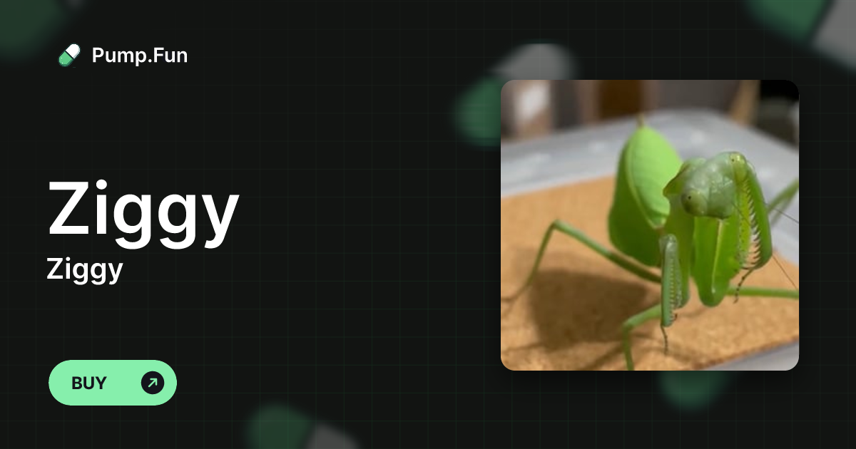 Ziggy (Ziggy) - Pump