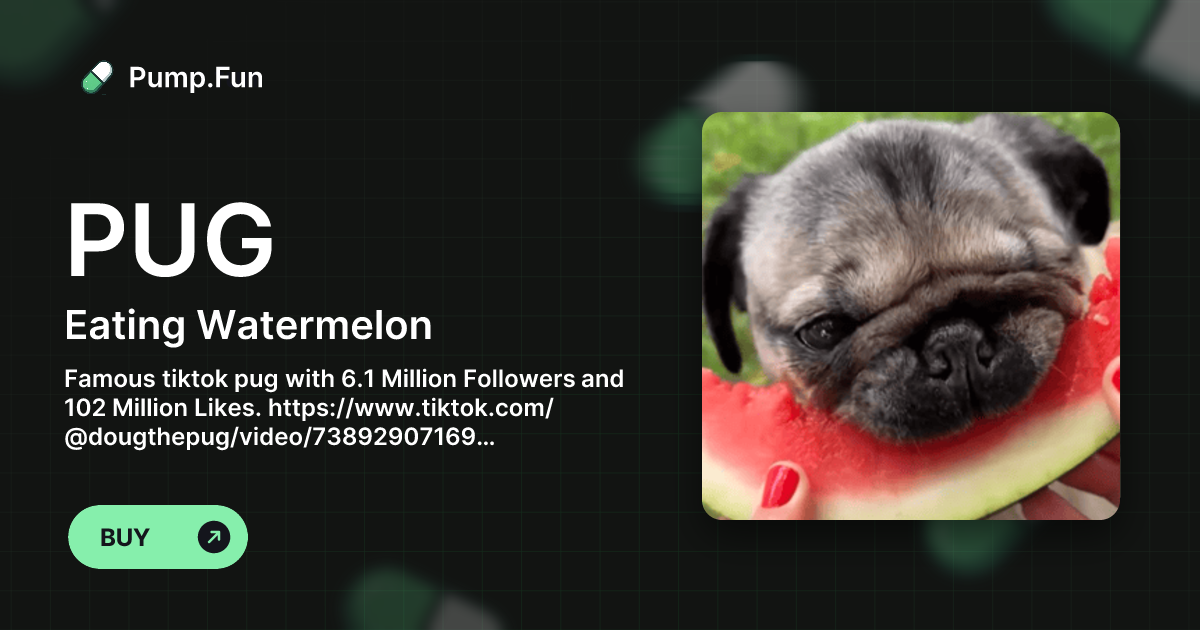 Eating Watermelon (PUG) - Pump