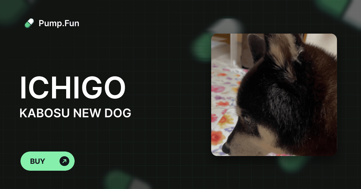KABOSU NEW DOG (ICHIGO) - Pump
