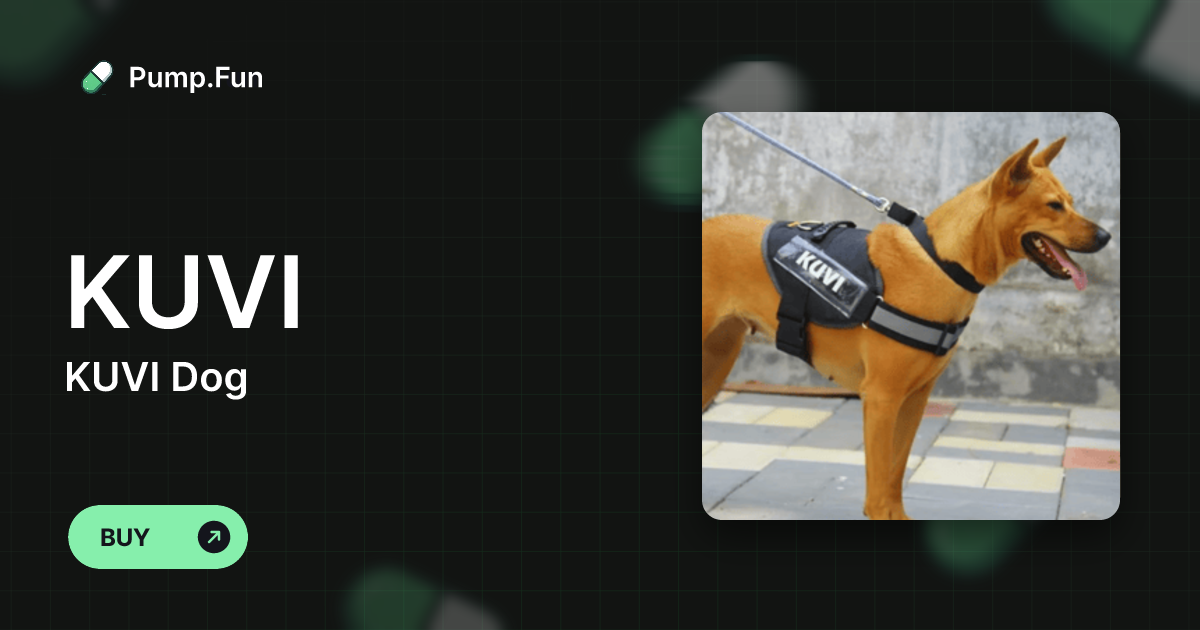 KUVI Dog (KUVI) - Pump
