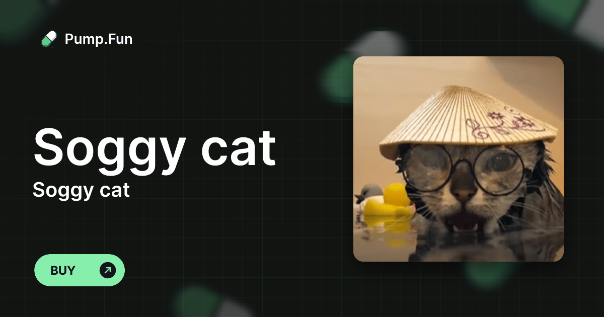 Soggy cat (Soggy cat) - Pump