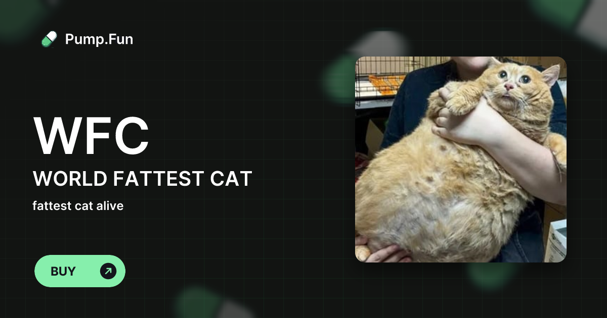 WORLD FATTEST CAT (WFC) - Pump