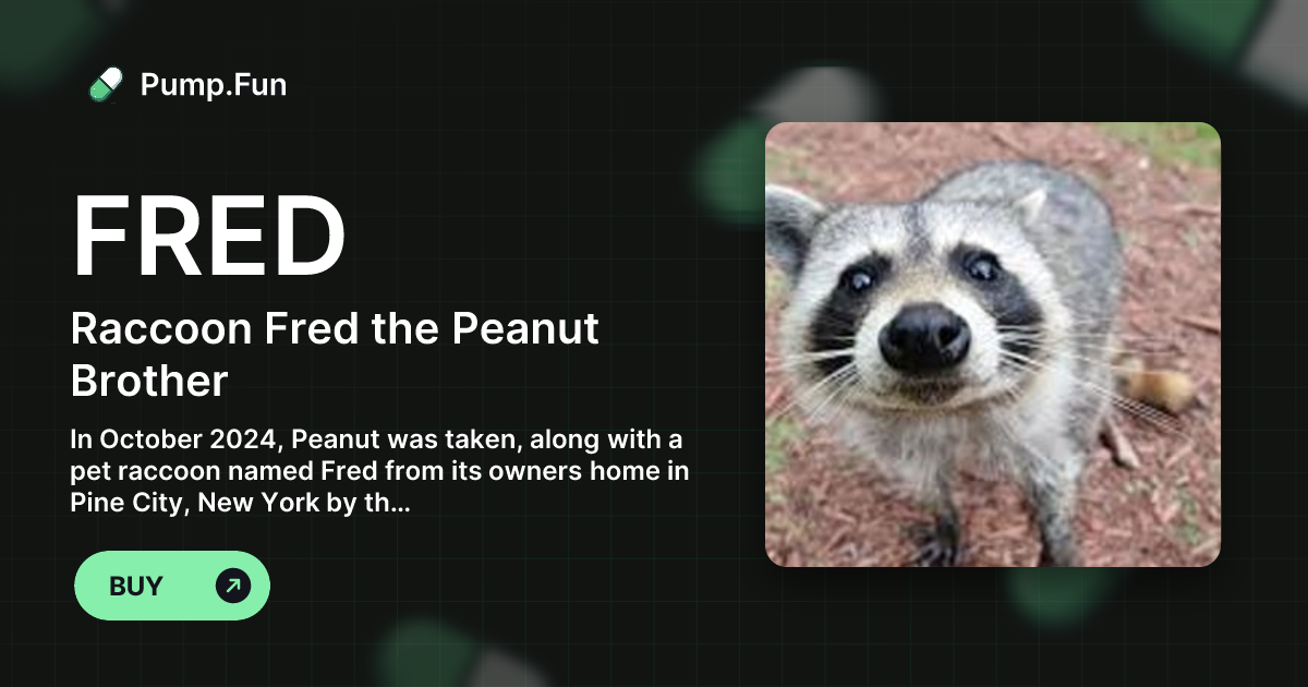 Raccoon Fred the Peanut Brother (FRED) - Pump