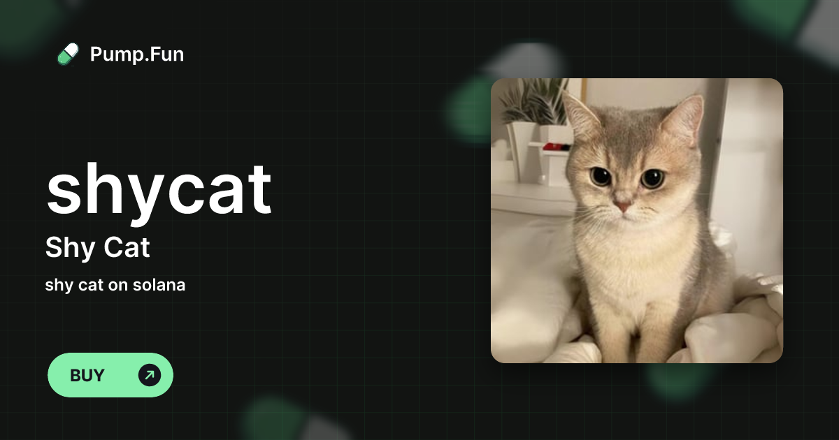 Shy Cat (shycat) - Pump