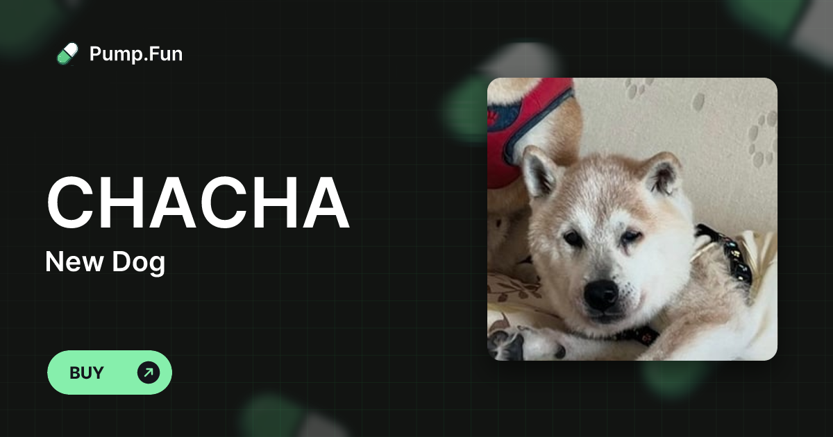 New Dog (CHACHA) - Pump