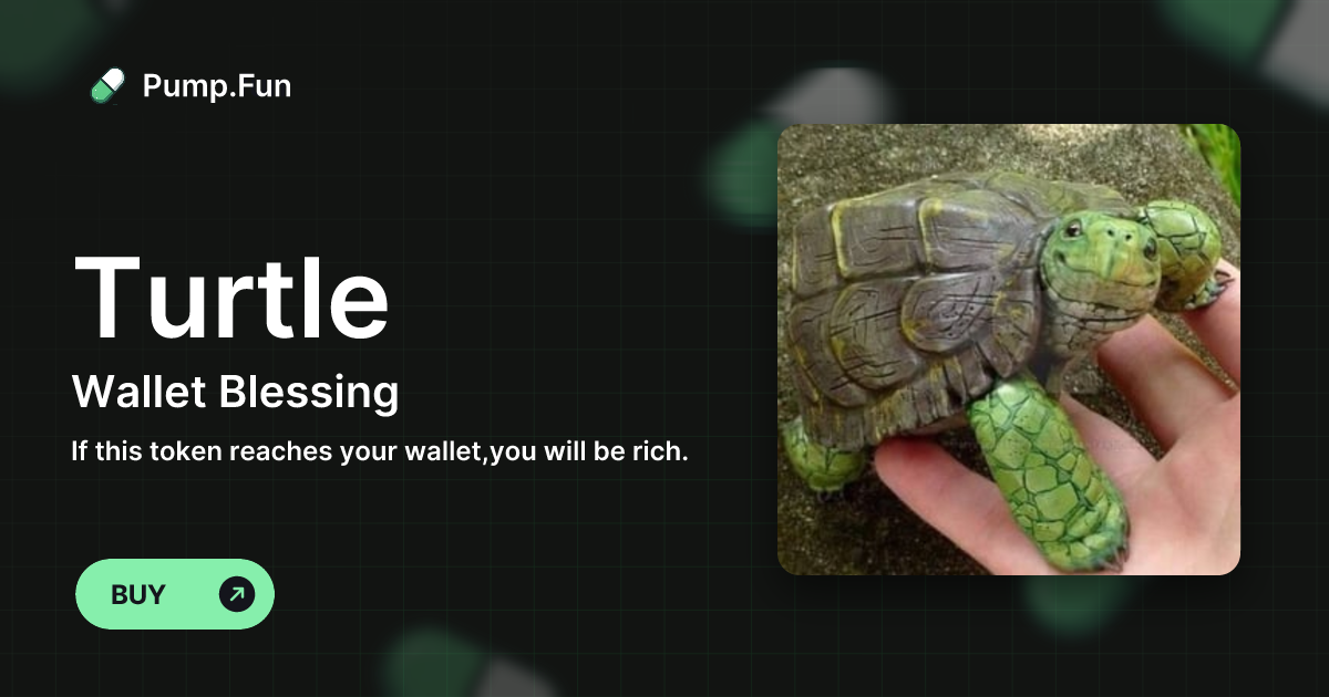 Wallet Blessing (Turtle) - Pump