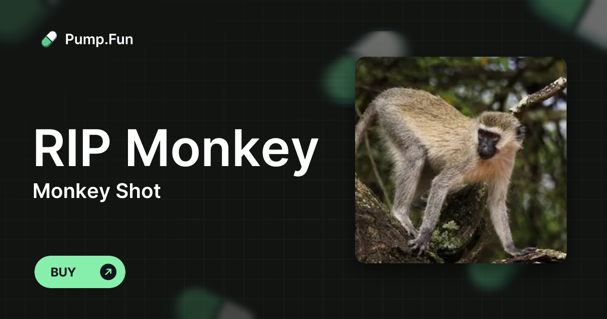 Monkey Shot (RIP Monkey) - Pump