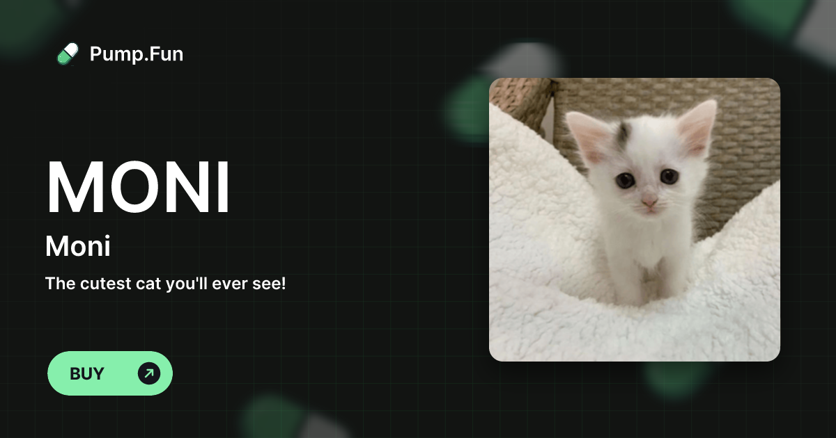 Moni (MONI) - Pump