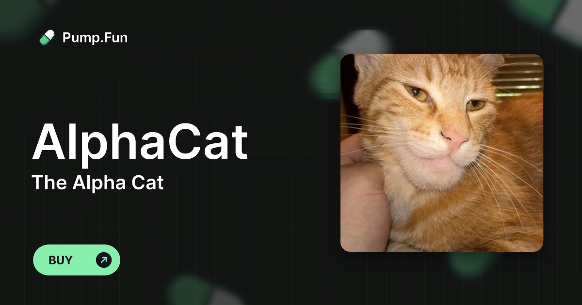 The Alpha Cat (AlphaCat) - Pump