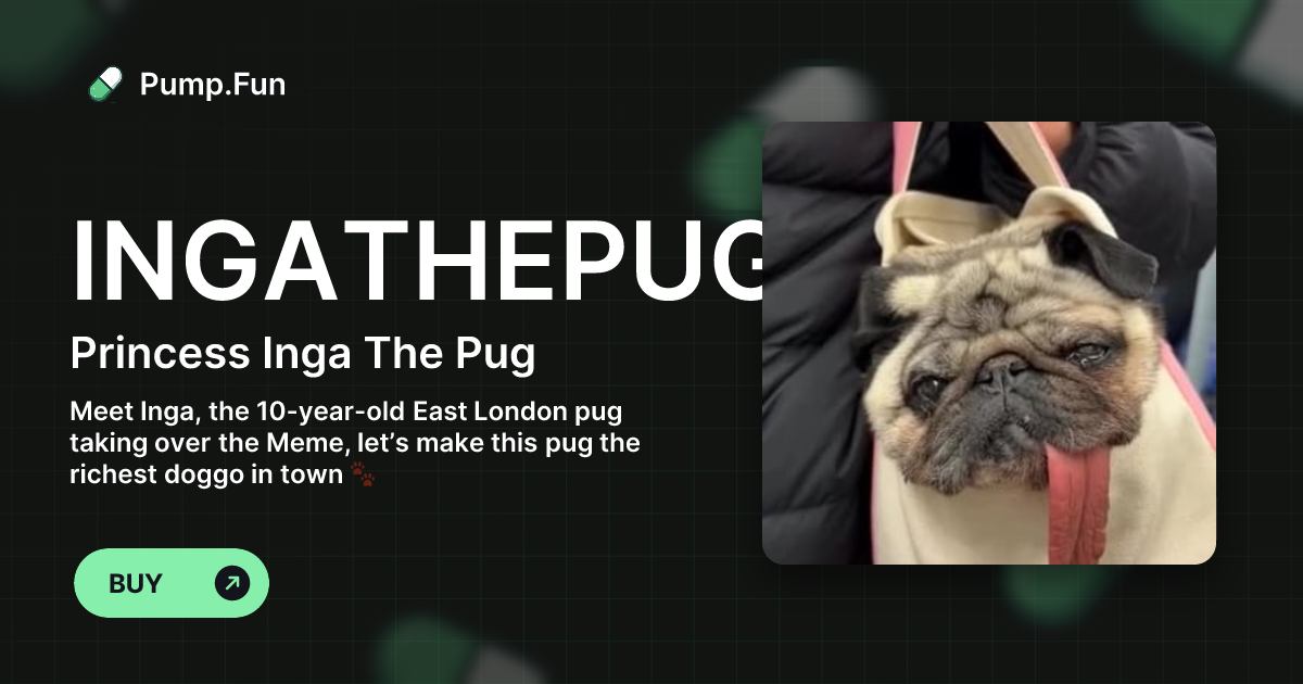 Princess Inga The Pug (INGATHEPUG) - Pump