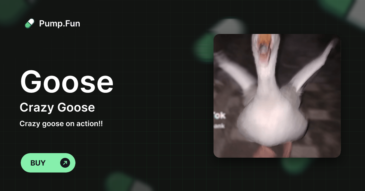 Crazy Goose (Goose) - Pump