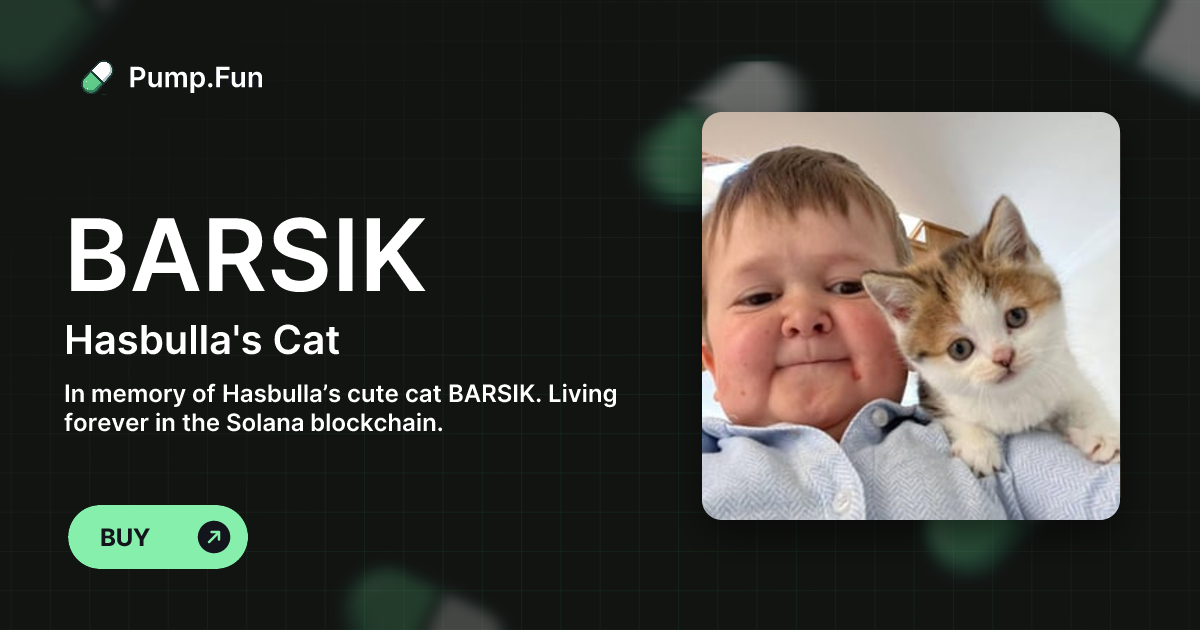 Hasbulla's Cat (BARSIK) - Pump
