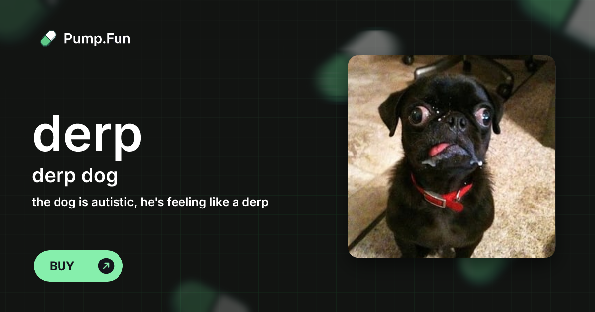 derp dog (derp) - Pump