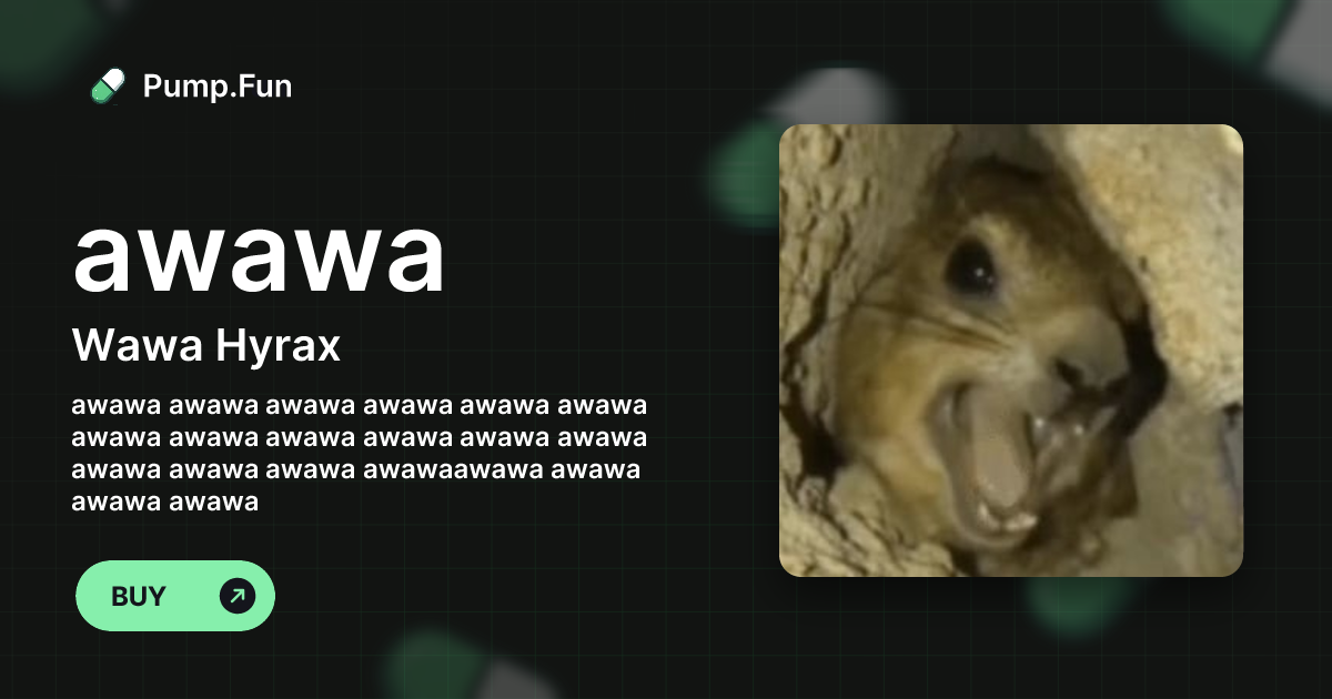 Wawa Hyrax (awawa) - Pump