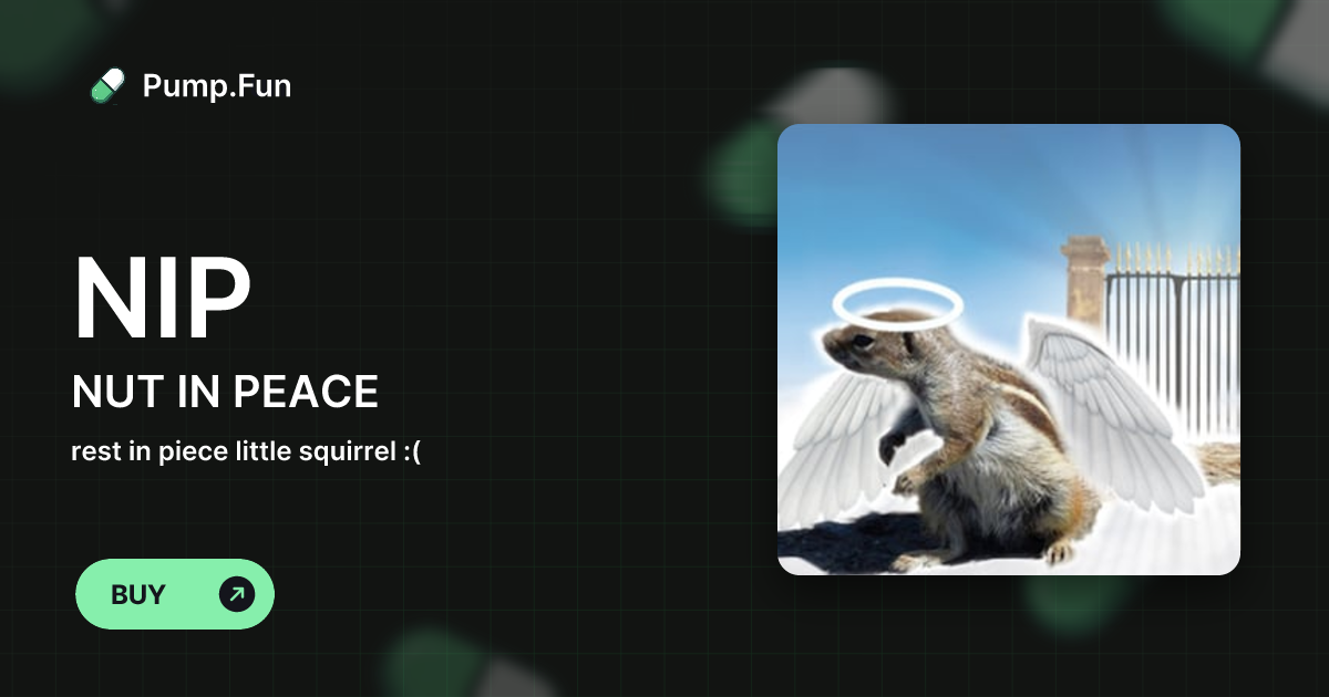 NUT IN PEACE (NIP) - Pump