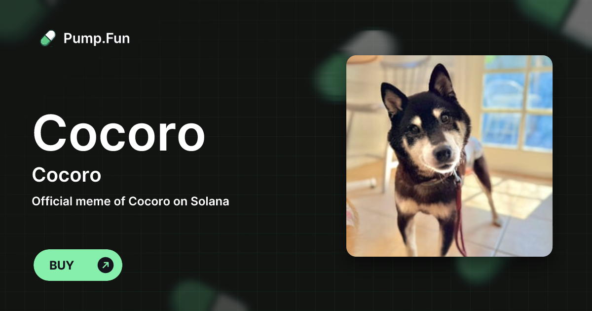 Cocoro (Cocoro) - Pump