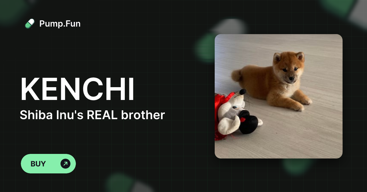 Shiba Inu's REAL brother (KENCHI) - Pump