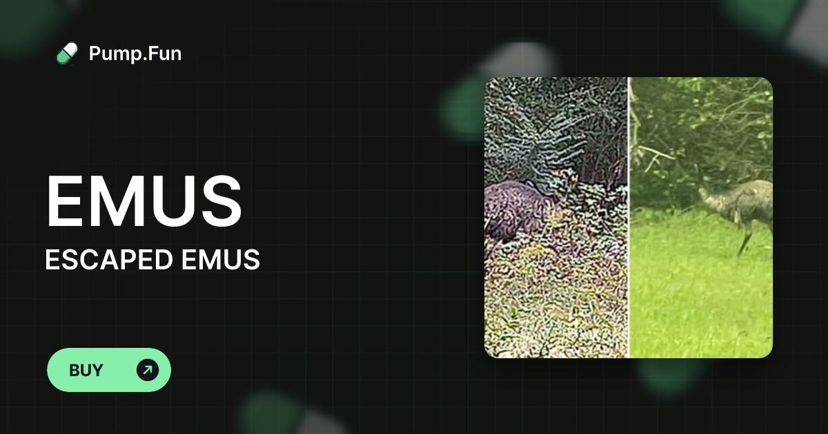 ESCAPED EMUS (EMUS) - Pump