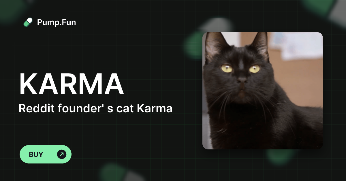 Reddit founder' s cat Karma (KARMA) - Pump
