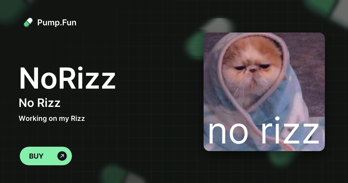 No Rizz (NoRizz) - Pump