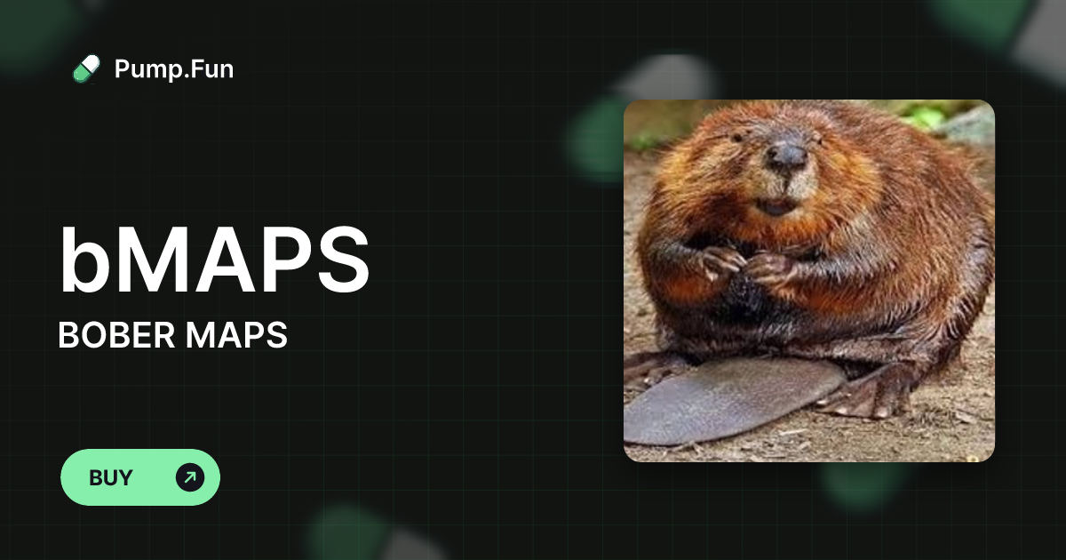 BOBER MAPS (bMAPS) - Pump