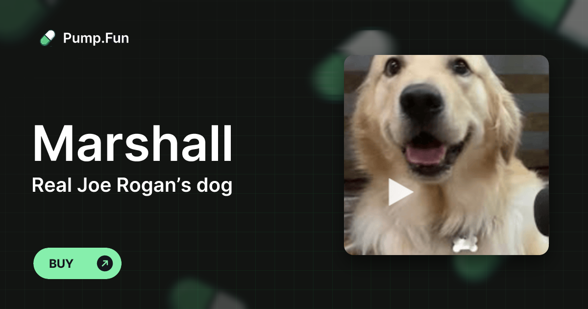 Real Joe Rogan’s dog ( Marshall) - Pump
