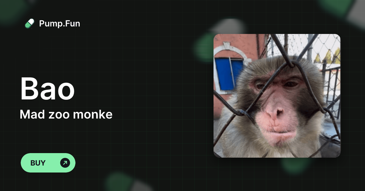 Mad zoo monke (Bao) - Pump