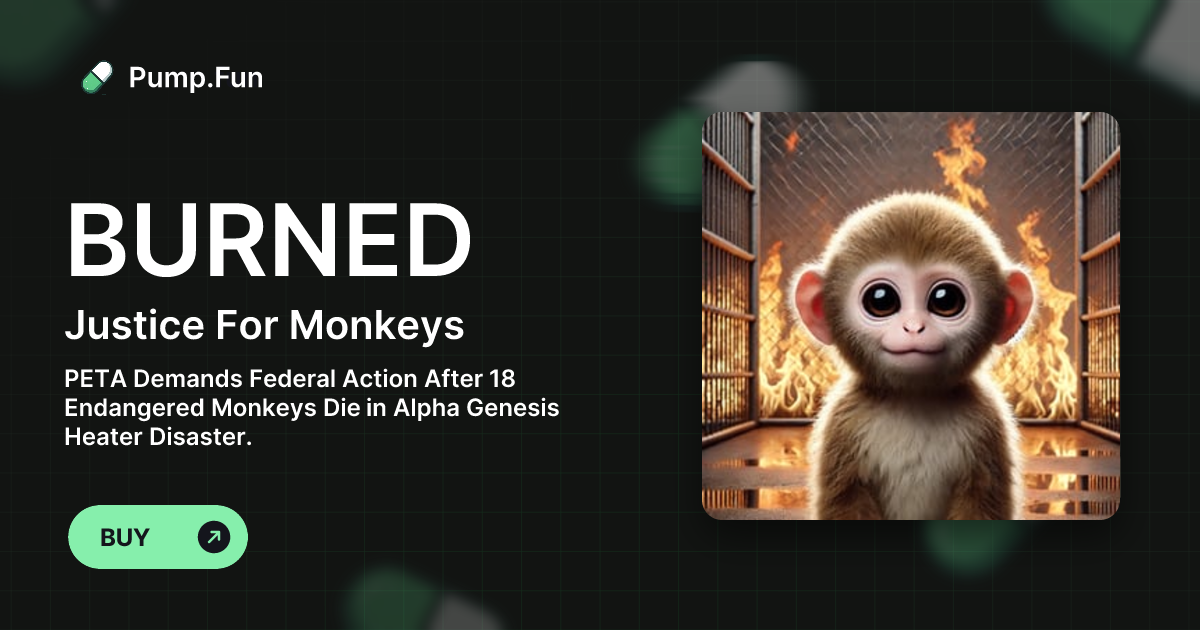 Justice For Monkeys (BURNED) - Pump