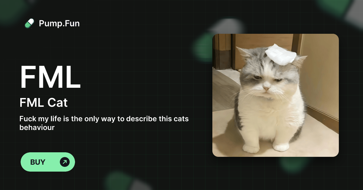 FML Cat (FML) - Pump