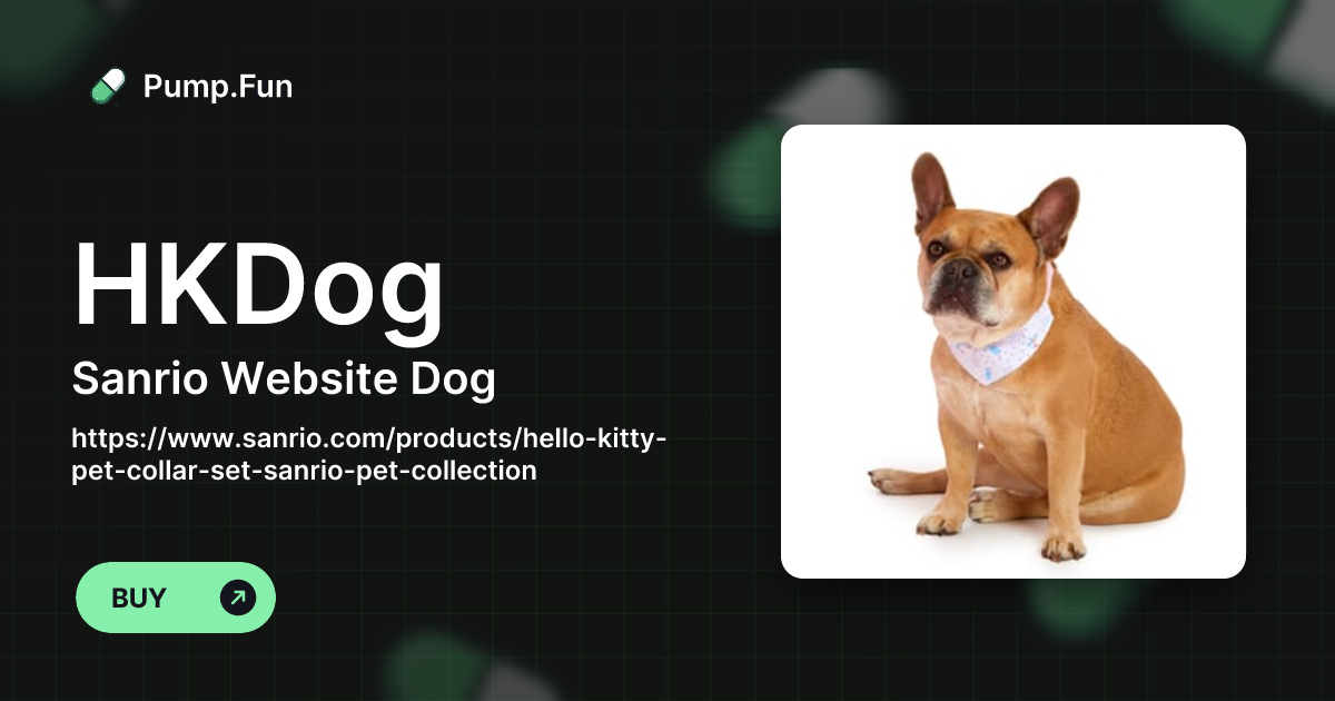 Sanrio Website Dog (HKDog) - Pump