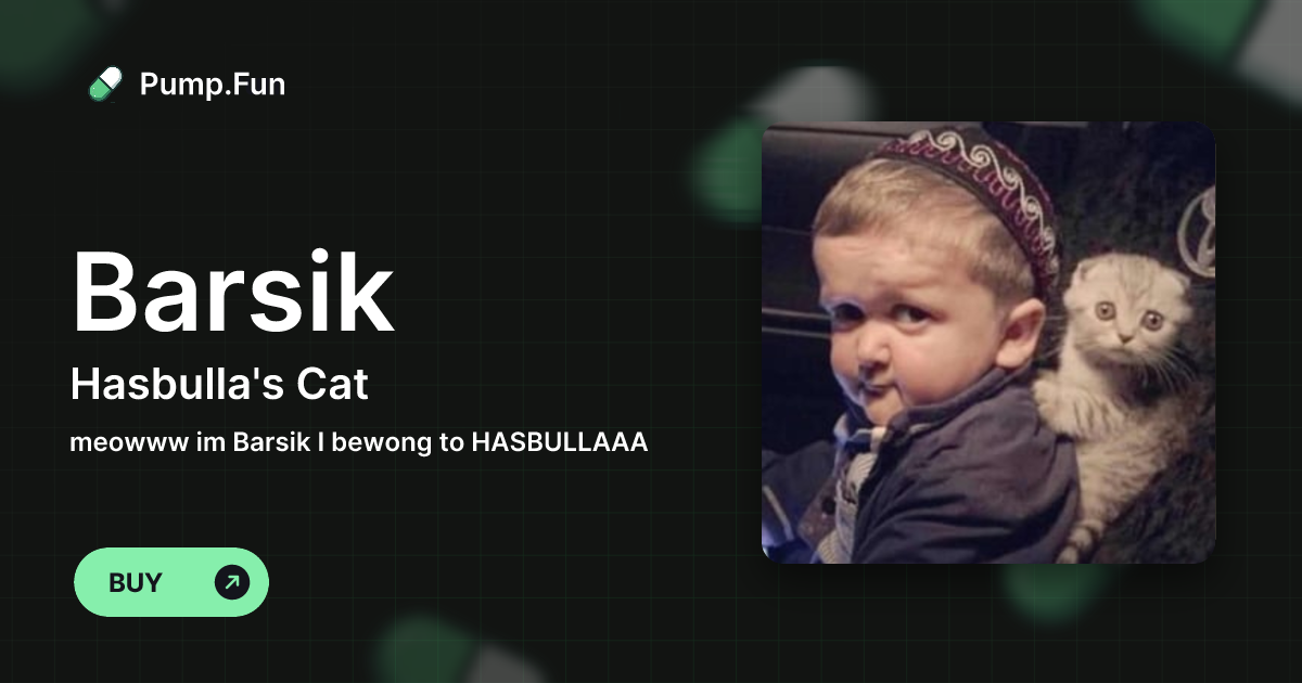 Hasbulla's Cat (Barsik) - Pump