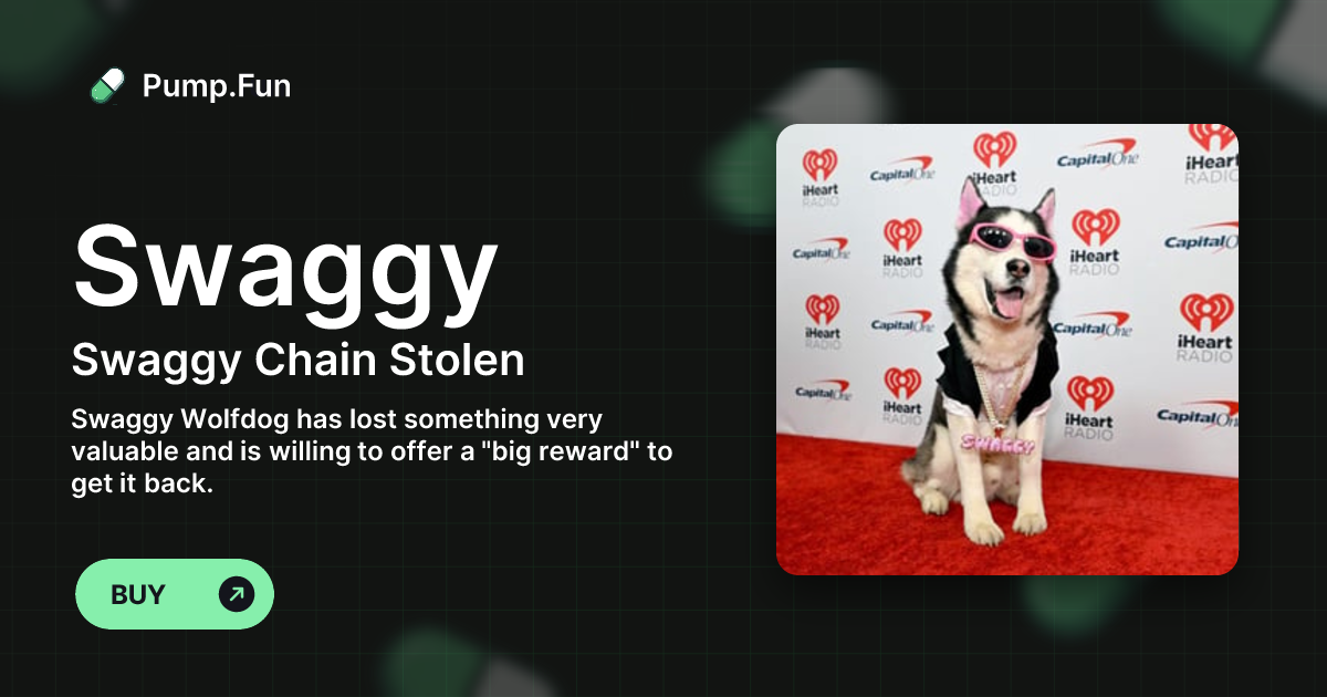 Swaggy Chain Stolen (Swaggy) - Pump