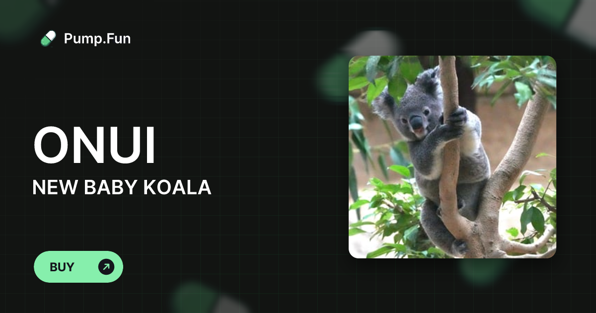 NEW BABY KOALA (ONUI) - Pump