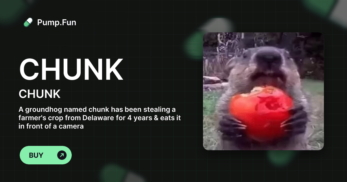 CHUNK (CHUNK) - Pump