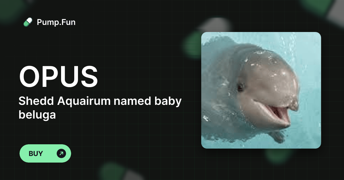 Shedd Aquairum named baby beluga (OPUS) - Pump