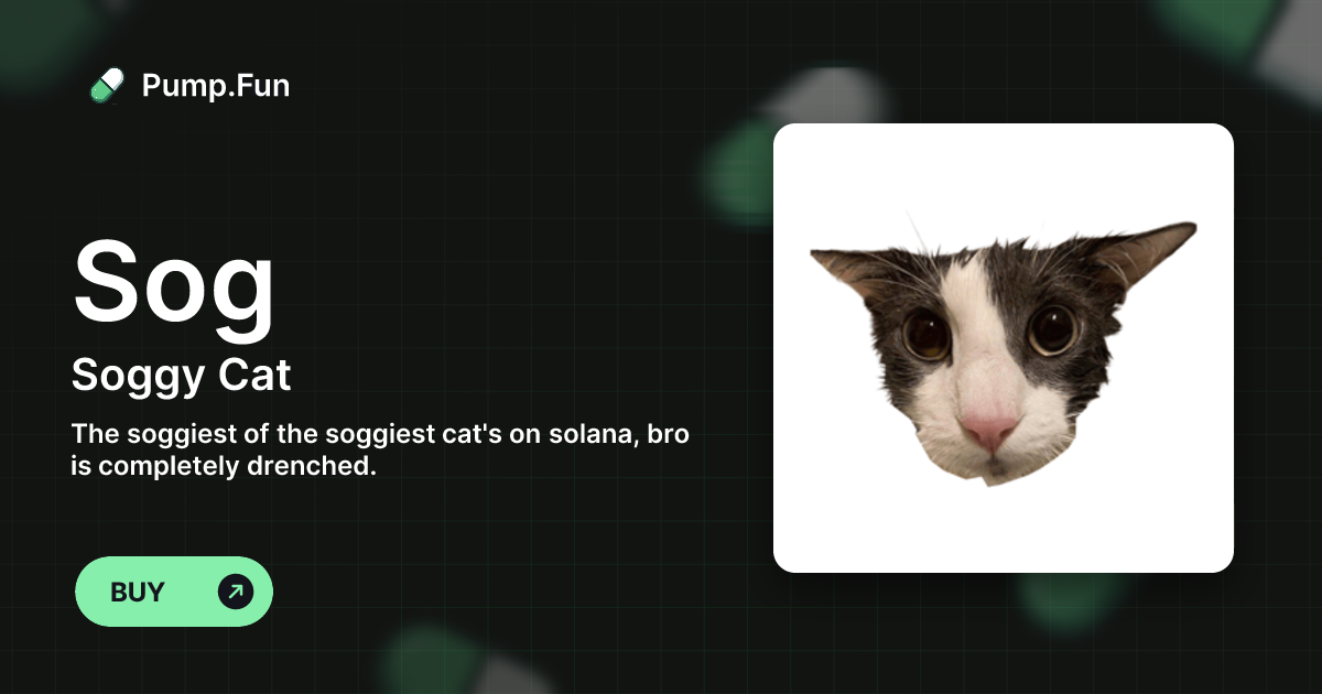 Soggy Cat (Sog) - Pump