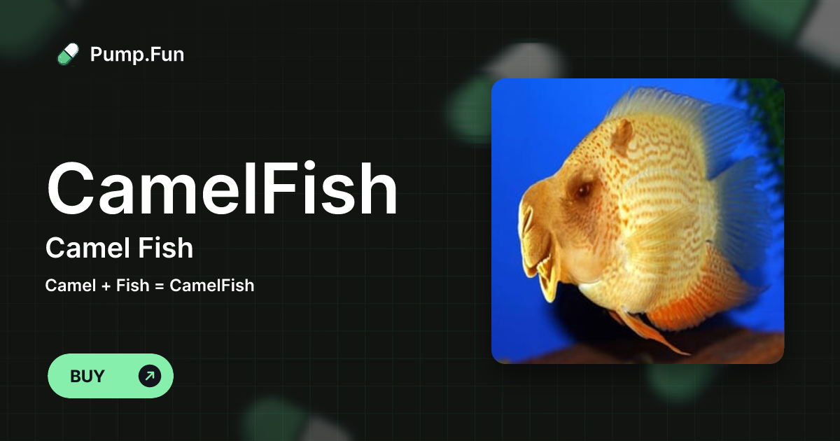 Camel Fish (CamelFish) - Pump