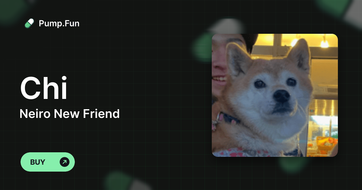 Neiro New Friend (Chi) - Pump