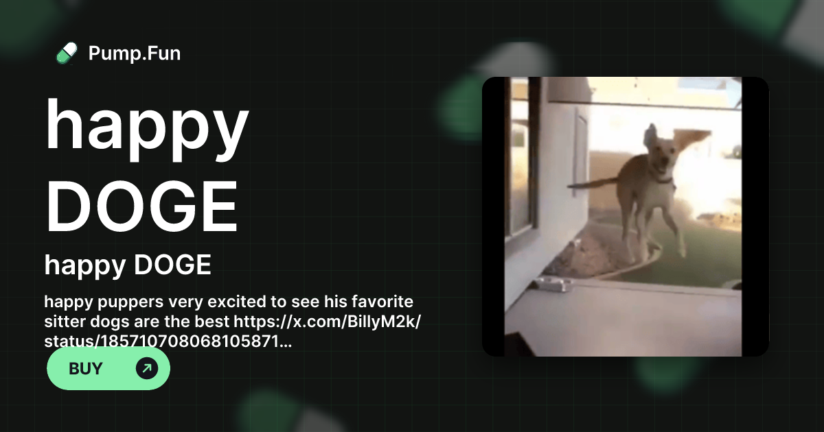 happy DOGE (happy DOGE) - Pump