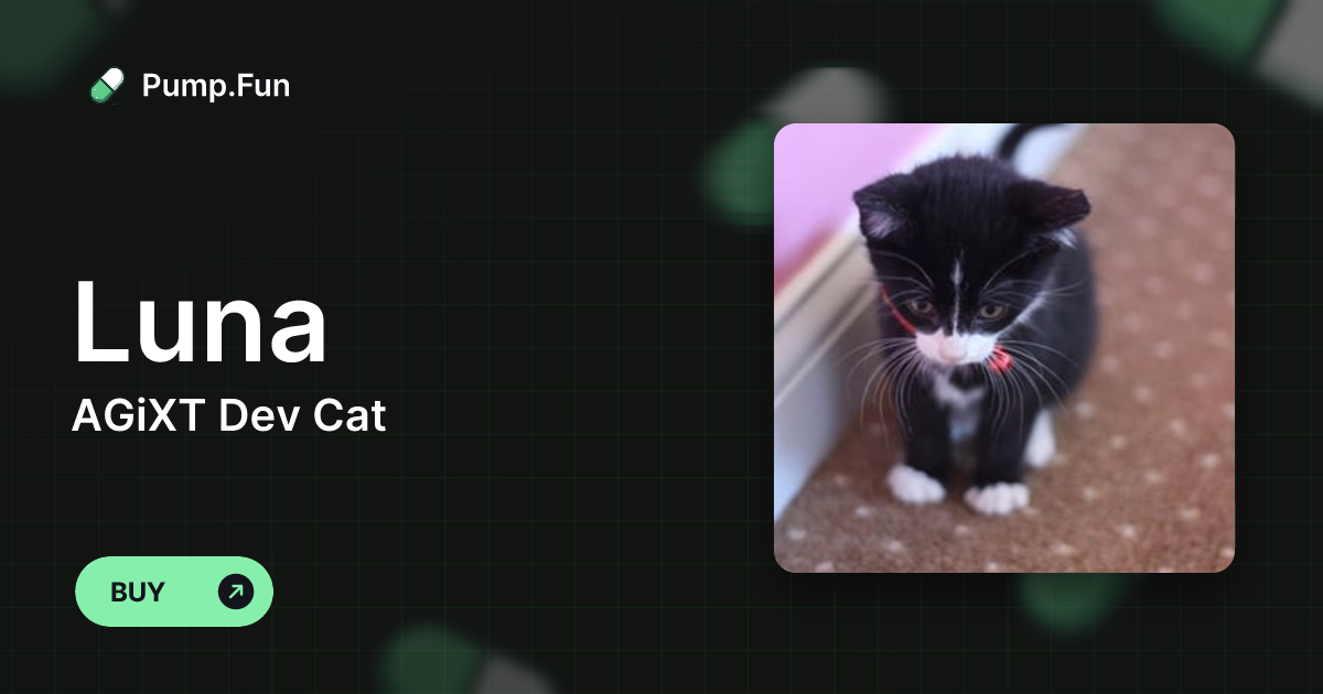 AGiXT Dev Cat (Luna) - Pump