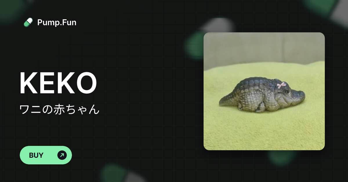 ワニの赤ちゃん (KEKO) - Pump