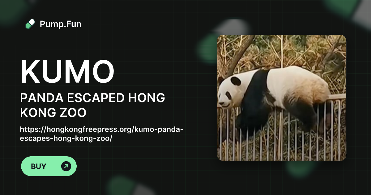 PANDA ESCAPED HONG KONG ZOO (KUMO) - Pump