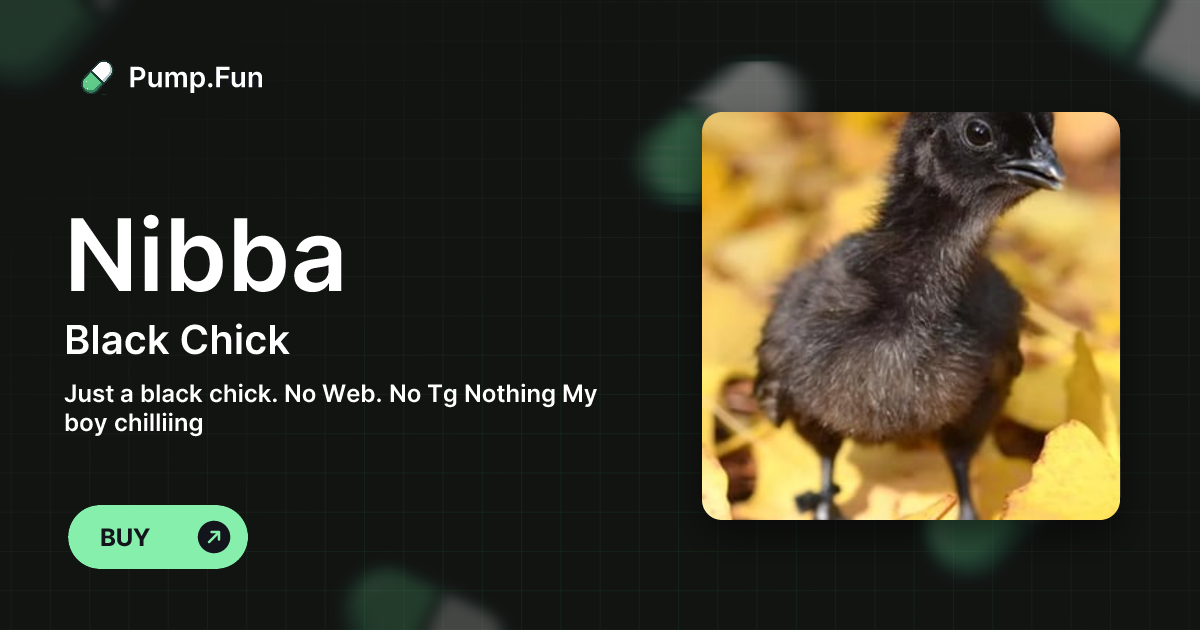 Black Chick (Nibba) - Pump