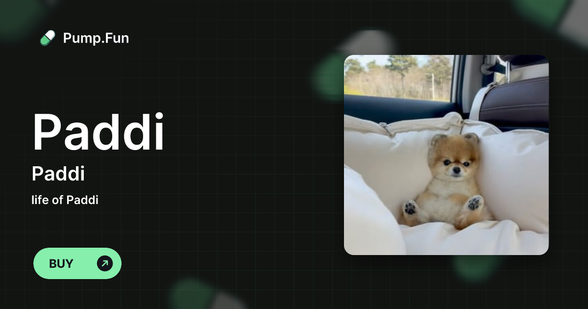 Paddi (Paddi) - Pump